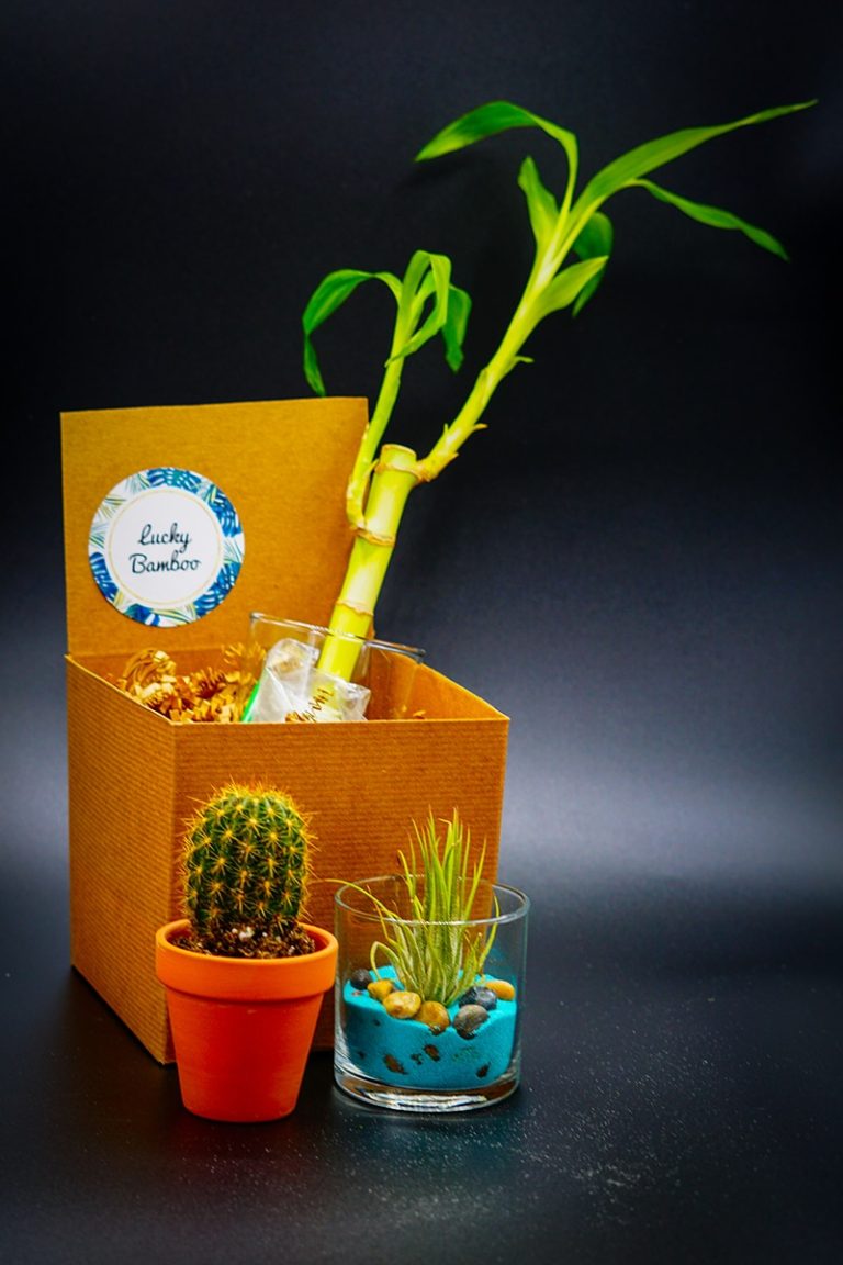 DIY Shippable Kits | Party People Inc